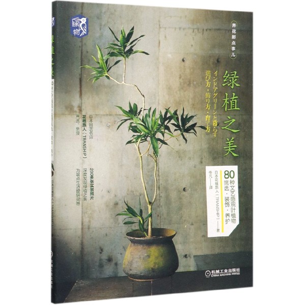 绿植之美(80种文艺感观叶植物挑选装饰养护)