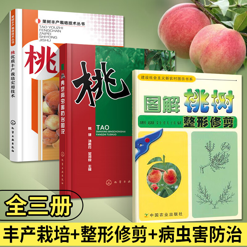 桃树栽培技术+图说桃典型病虫害防治+桃树修剪书籍果树种植栽培技术书桃树管理技术书桃树修剪书籍高效