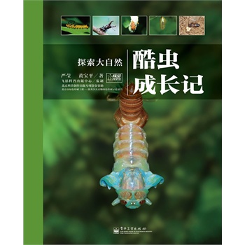 酷虫成长记 严莹,黄宝平 住