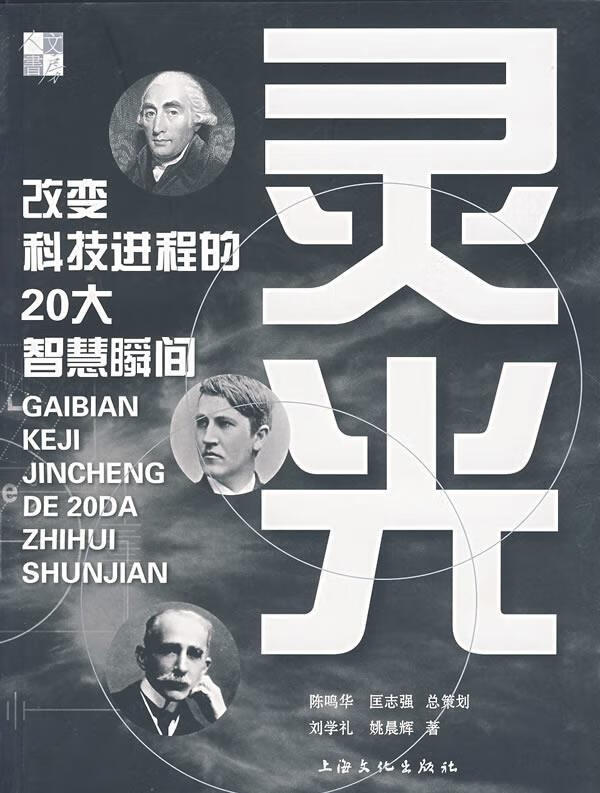 灵光:改变科技进程的20大智慧瞬间