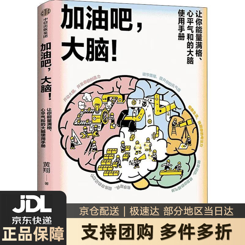 加油吧，大脑！让你能量满格、心平气和的大脑使用手册 黄翔著 脑科学入门 中信出版社