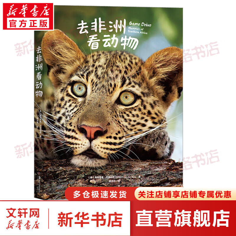 去非洲看动物 图书
