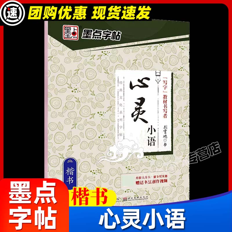 墨点字帖 附模拟书法试卷 基本笔画偏旁部首间架结构硬笔钢笔 心灵小语