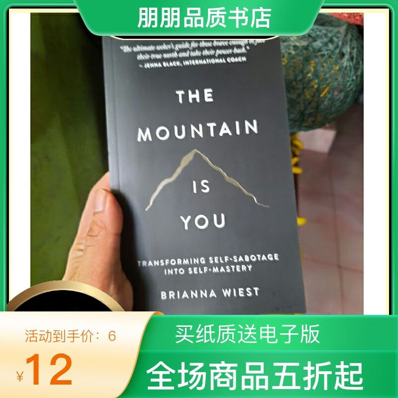 现货The Mountain Is You- Brianna Wiest纸质英文书 品质实体书