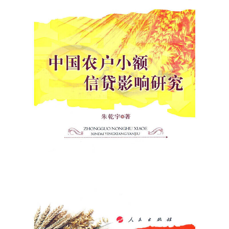 中国农户小额信贷影响研究
