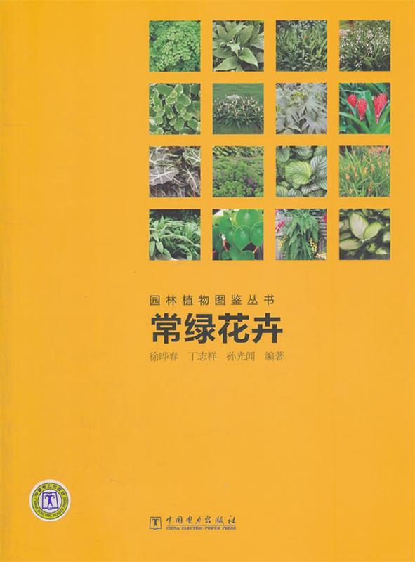 常绿花卉