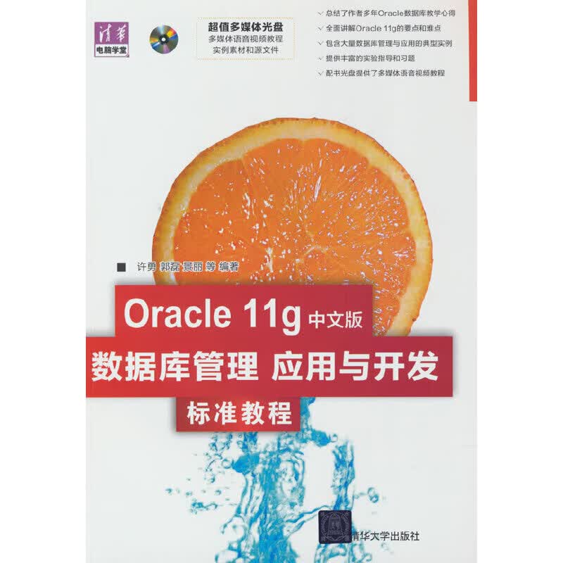 Oracle 11g中文版数据库管理、应用与开发标准教程