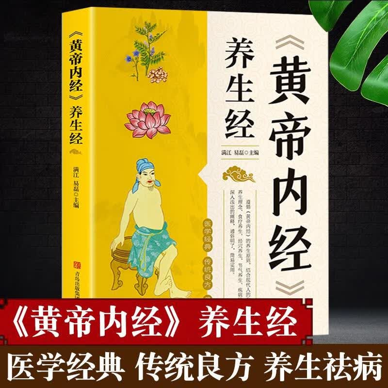 黄帝内经养生经中医养生书籍大全基础理论健康养生类皇帝内经十二经脉揭秘与应用四季养生法全书白话文版人体