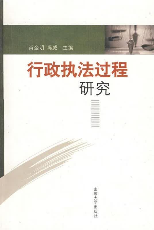 行政执法过程研究