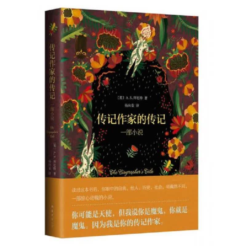 传记作家的传记：一部小说