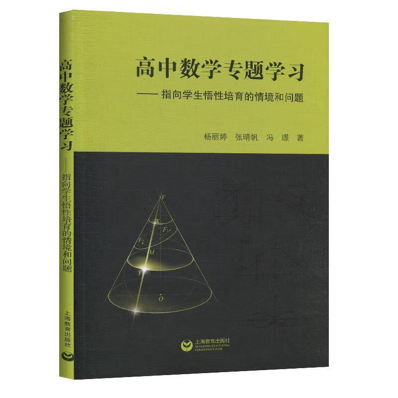 高中数学专题学习——指向学生悟性培育的情境和问题 杨丽婷 著 上海教育出版社