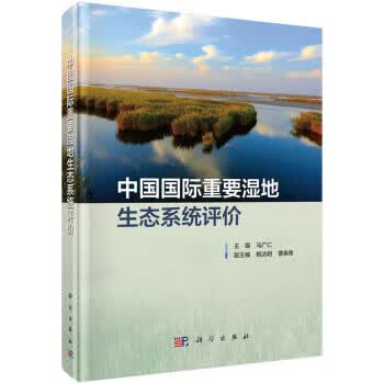 中国国际重要湿地生态系统评价