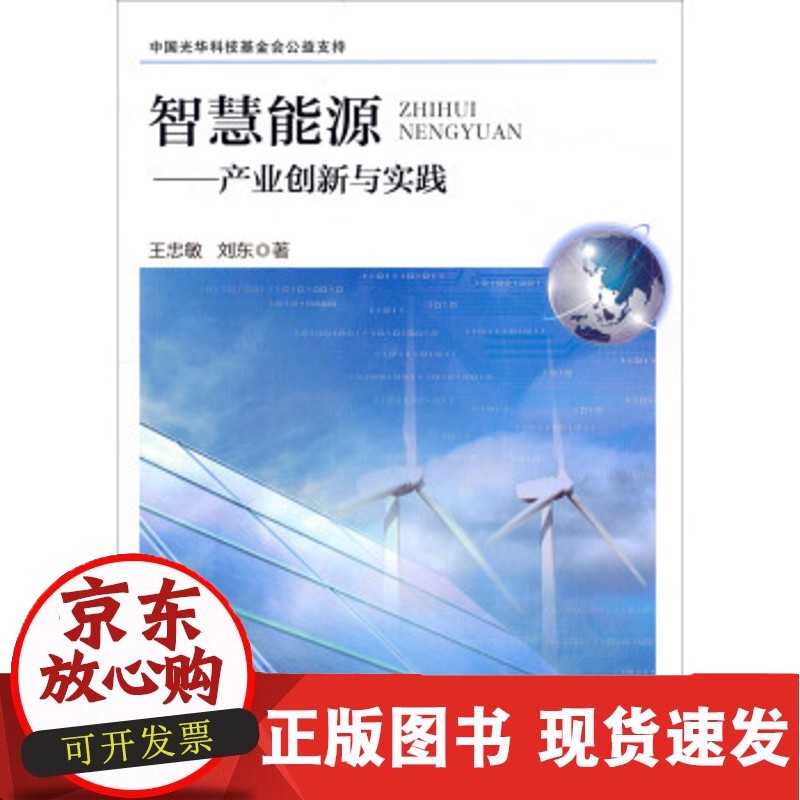 C 智慧能源——产业创新与实践