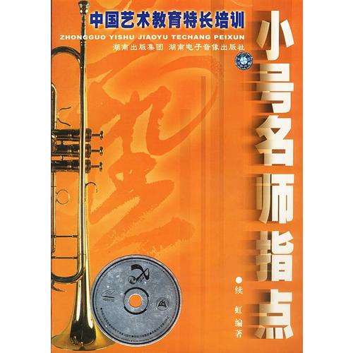 小号名师指点(含光盘) 续虹 【好书，下单速发】