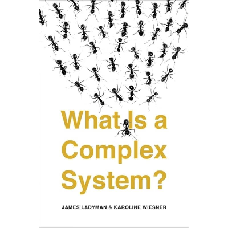 What Is a Complex System?