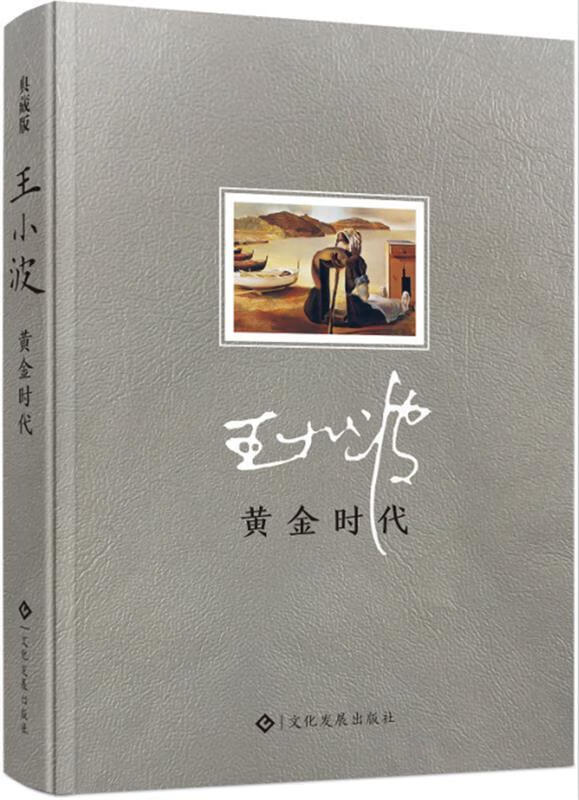 黄金时代 王小波 文化发展出版社