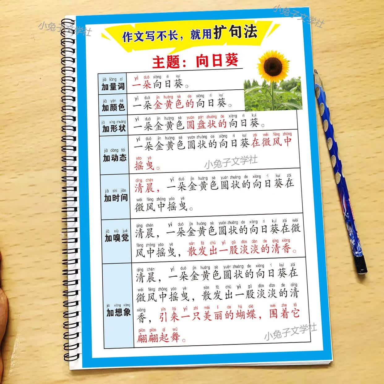 每日晨读之扩句法50篇看图写话小学一二三作文素材练习基础 胶装款（128g铜版纸 高清印刷 小学通用