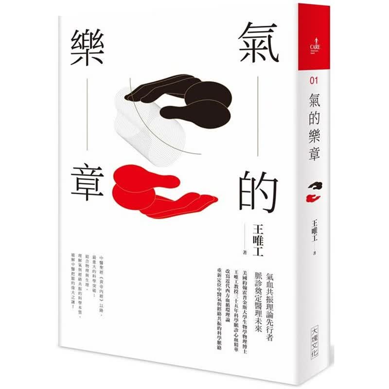 台版 气的乐章 二十周年纪念全新修订版 大块文化 王唯工 中医气与经络共振的科学脉络医疗保健书籍