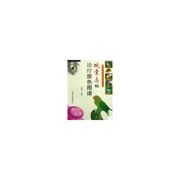 观赏鸟病诊疗原色图谱 王增年
