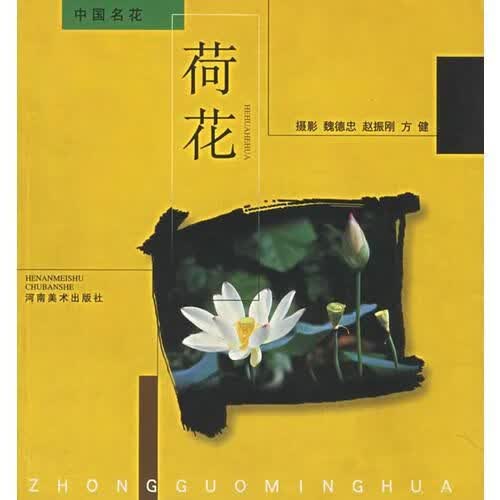 荷花/中国名花9787540109653河南美术出版社