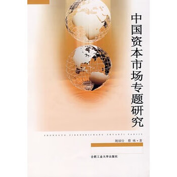 中国资本市场专题研究