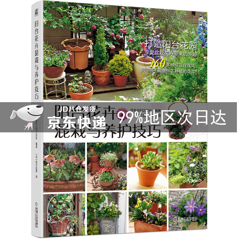 阳台花卉混栽与养护技巧