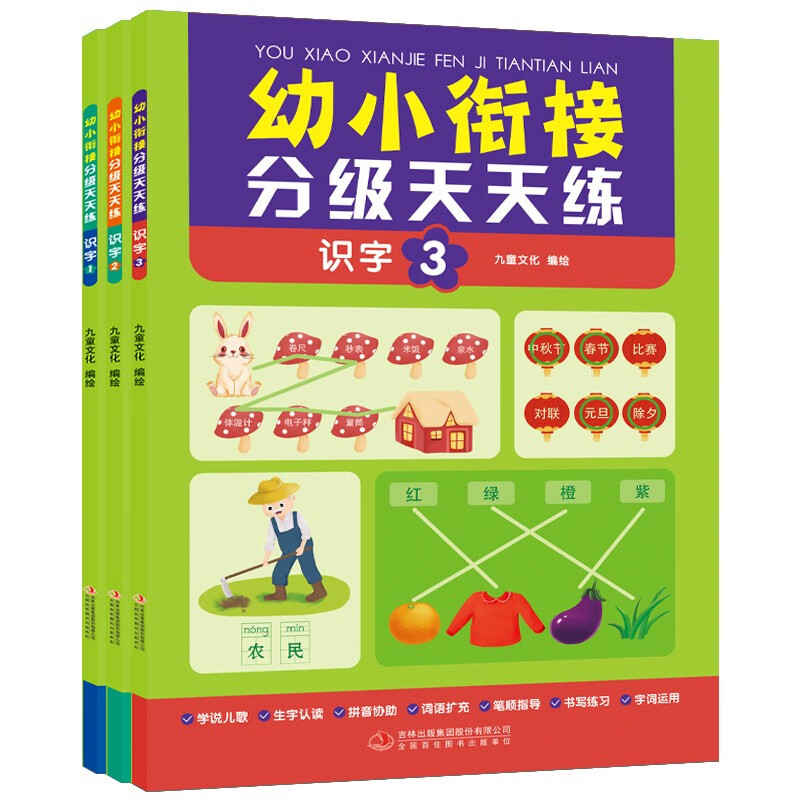 识字-幼小衔接分级天天练(全套3册)彩图注音版 阶梯训练由浅入深轻轻松松上小学
