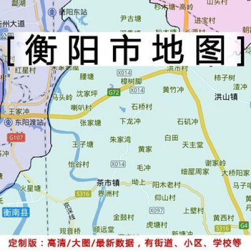 衡阳市地图贴图办公室挂图装饰画定制湖南衡阳行政交通地形图 其它