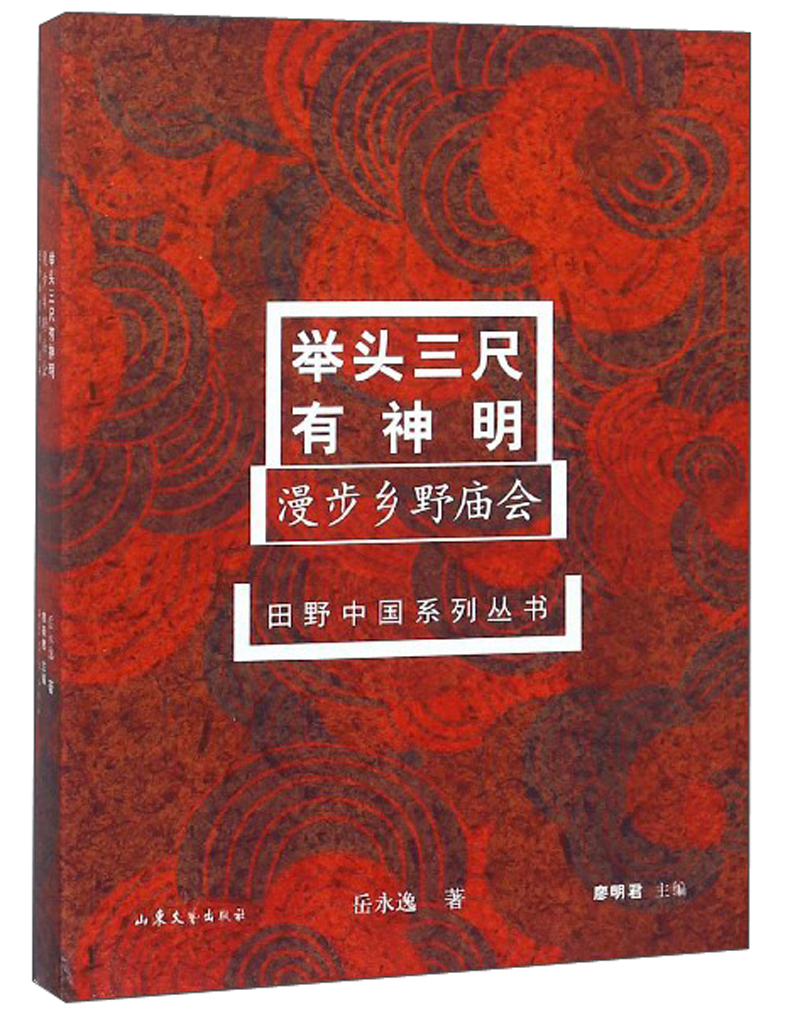 举头三尺有神明 漫步乡野庙会/田野中国系列丛书