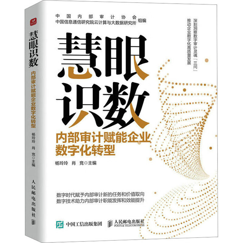 慧眼识数 内部审计赋能企业数字化转型 图书