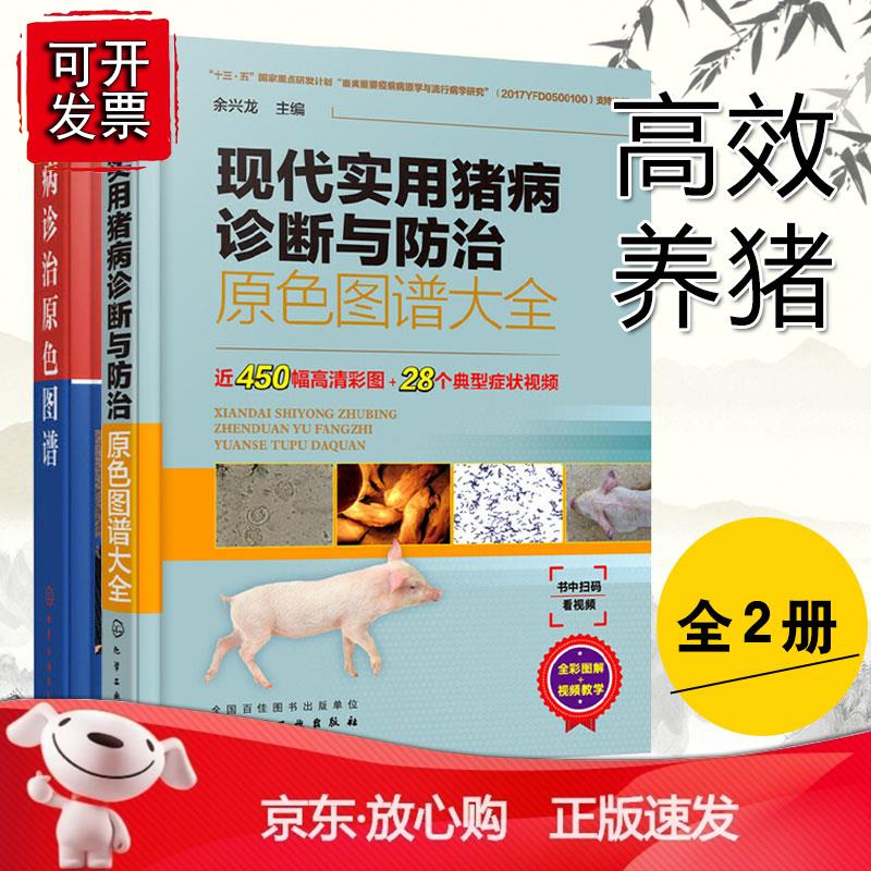 【全2册】 猪病诊治原色图谱现代实用猪病诊断与防治原色图谱大全高效养猪养殖技术大全猪病诊断与防治简易