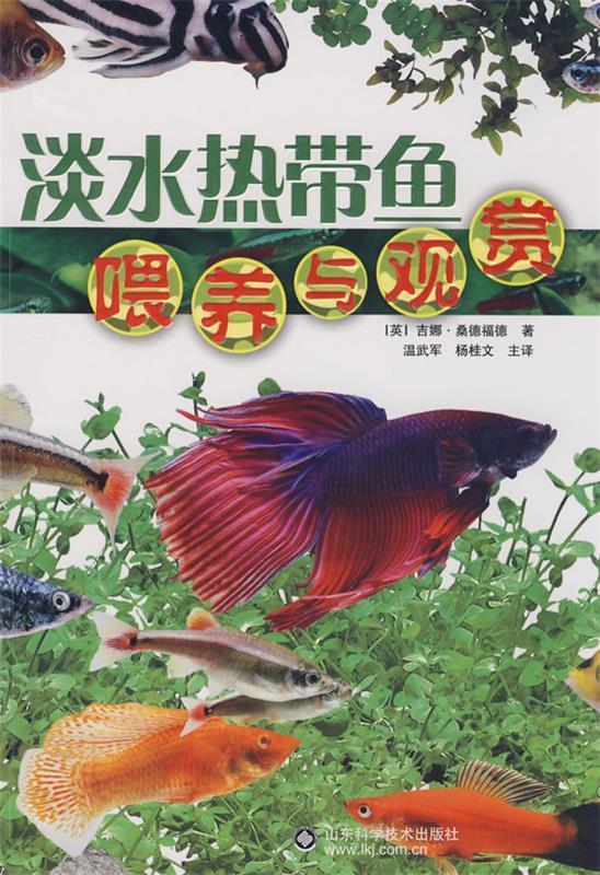 淡水热带鱼喂养与观赏