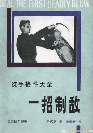 一招制敌-徒手格斗大全 李武章【书】