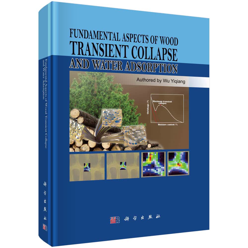 Fundamental Aspects of Wood Transient Collapse an