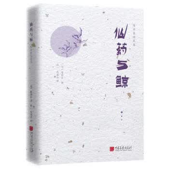 “女巫”:不可战胜的女性 zb 湖北 上海社会科学院出版社