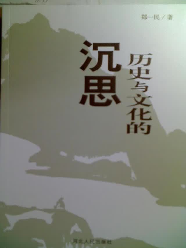 历史与文化的沉思