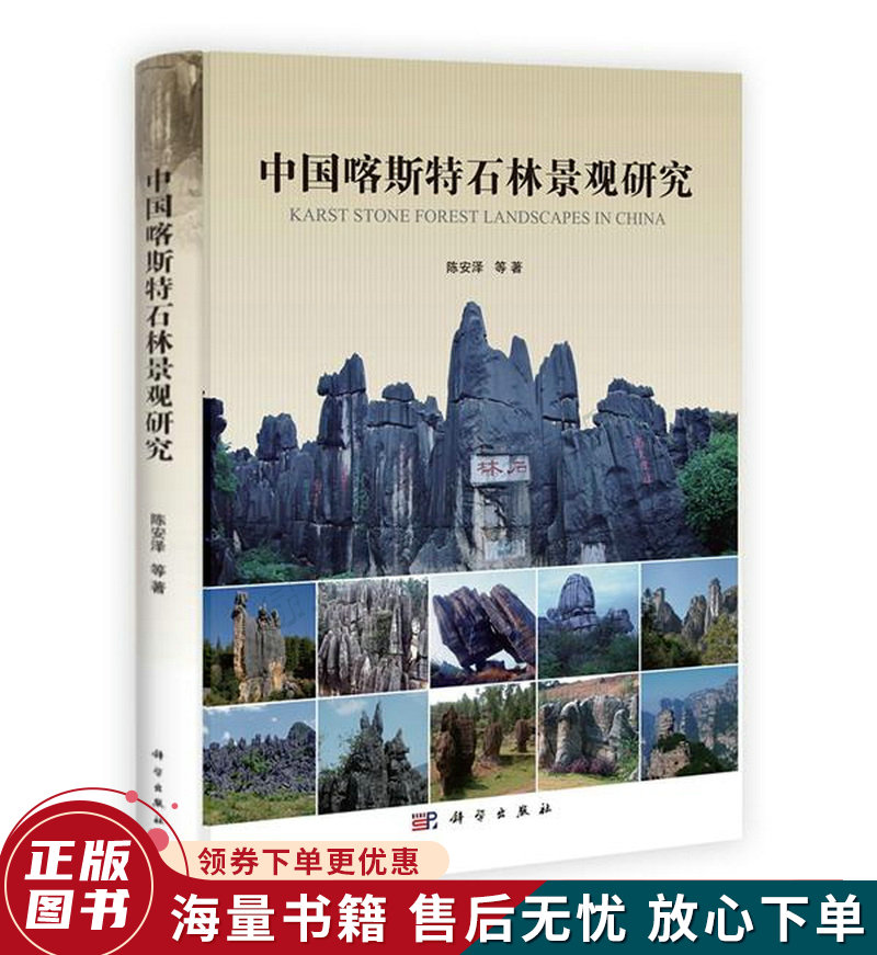 中国喀斯特石林景观研究
