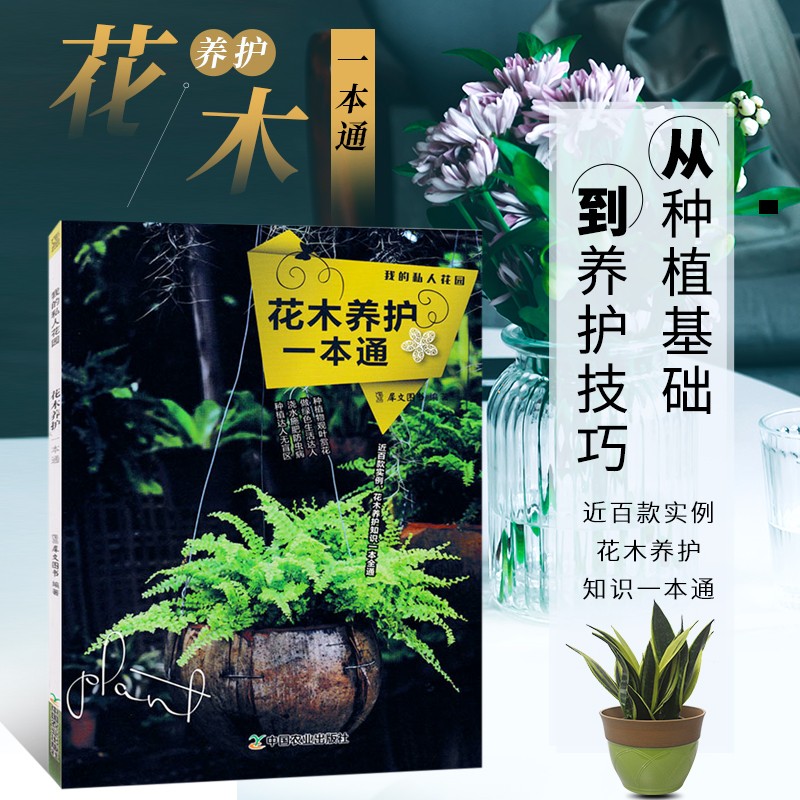 花木养护一本通 家庭种植养花一本通 家庭绿植花卉栽培指导书 庭院花卉植物绿化绿植盆栽造景设计 常见花卉绿植种植栽培施肥换盆养护指南书 鲜花盆景盆栽分株繁殖修剪技巧书