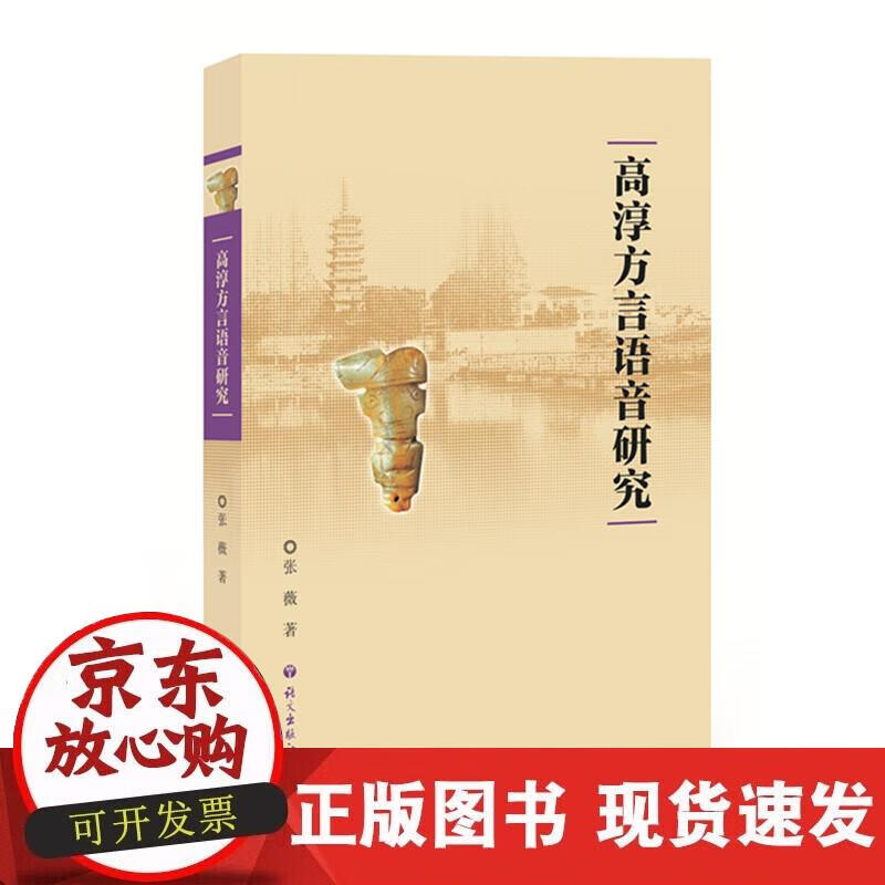 【现货】高淳方言语音研究
