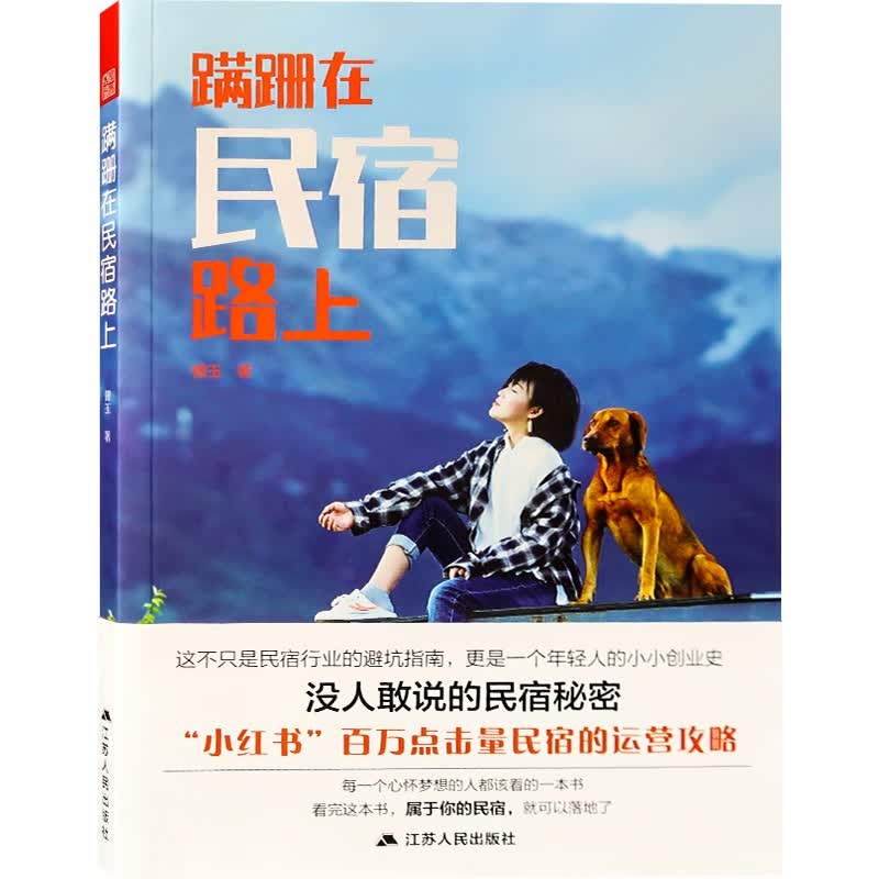 蹒跚在民宿路上 民宿经营避坑指南与运营策略 镡玉编著  没人敢说的民宿秘密 书籍