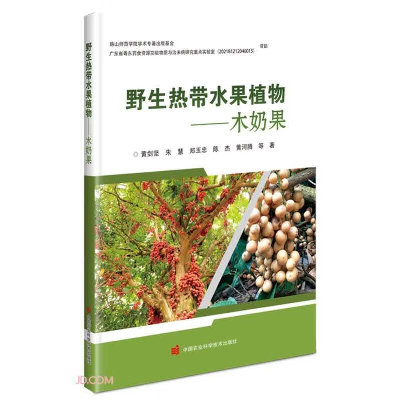 野生热带水果植物--木奶果