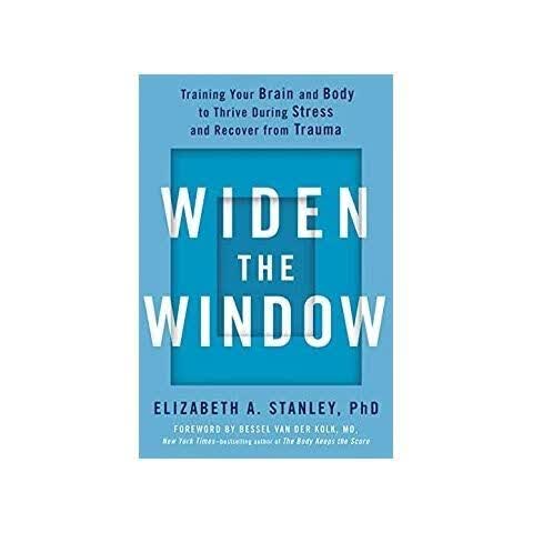 Widen the Window 现货纸质书 通用