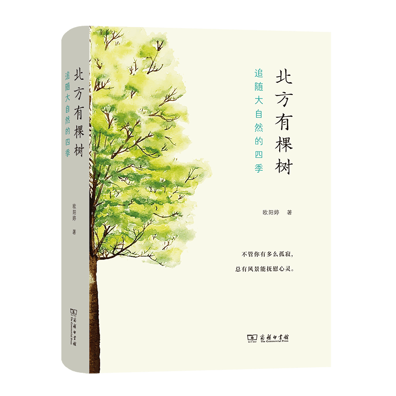 北方有棵树：追随大自然的四季