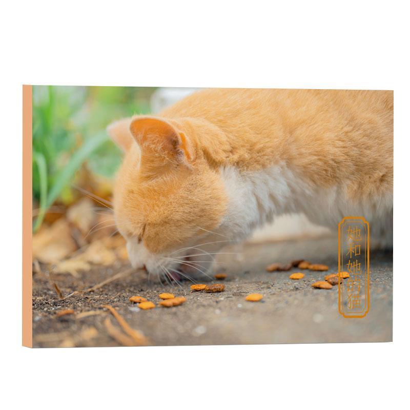他和她的猫李浙江人民社853405154 传记书籍