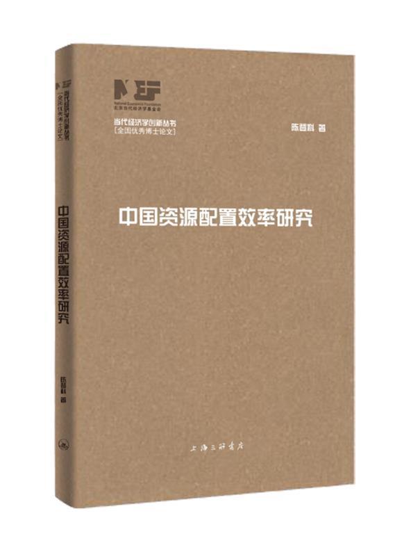 中国资源配置效率研究陈登科经济9787542673619