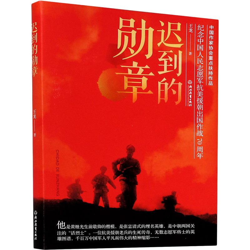 迟到的勋章 王龙 著 历史、军事小说