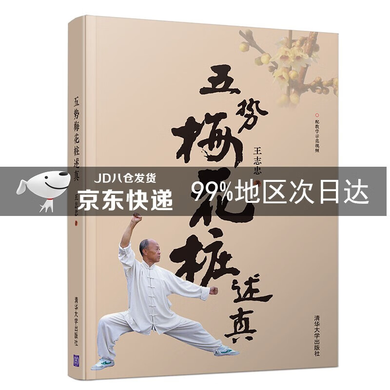 五势梅花桩述真