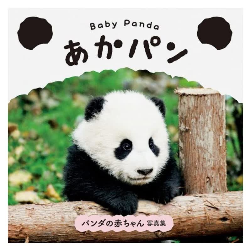 【PIE】大熊猫宝宝 ベビ— パンダ あかパン 进口原版日文摄影作品集艺术 善本图书
