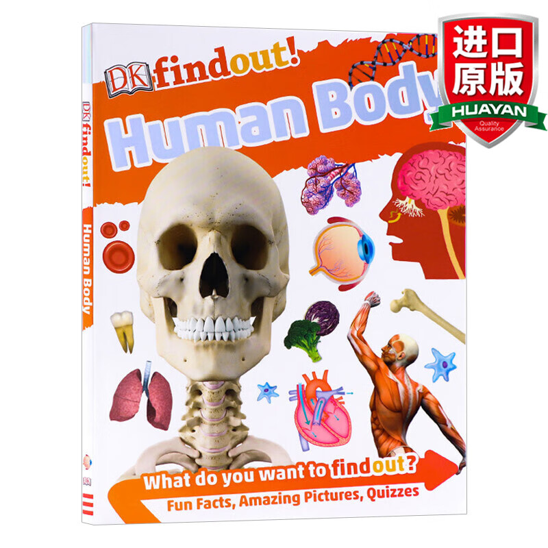 DKfindout! Human Body 英文原版 DK小发现 人体 儿童科学百科 全彩图解指南 英文版 进口英语原版书籍