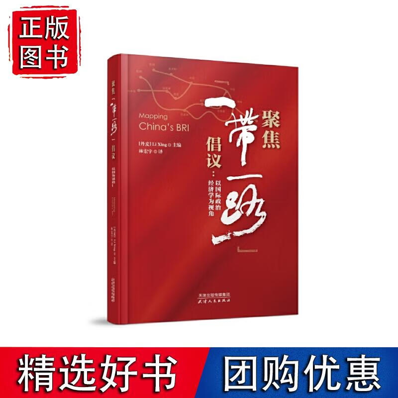 聚焦“一带一路”倡议：以国际政治经济学为视角